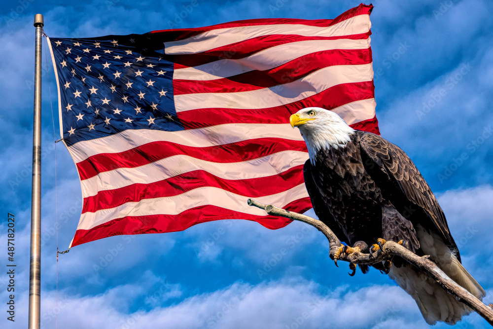 American Flag Waving Eagle