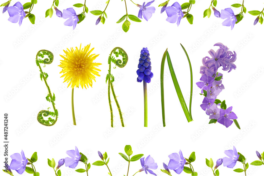 Hello spring.Floral letters and green grass in a flower frame isolated ...