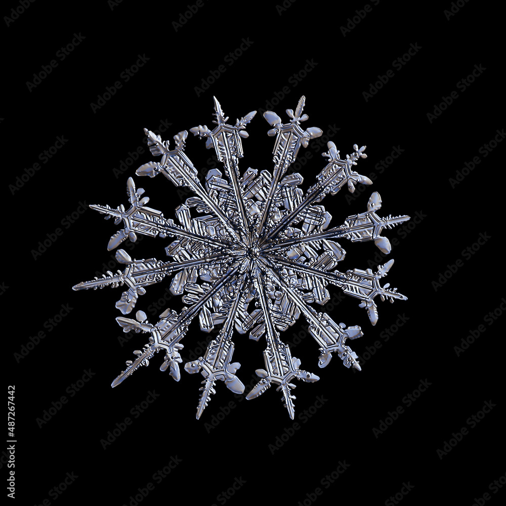 Snowflake isolated on black background. Macro photo of real snow ...