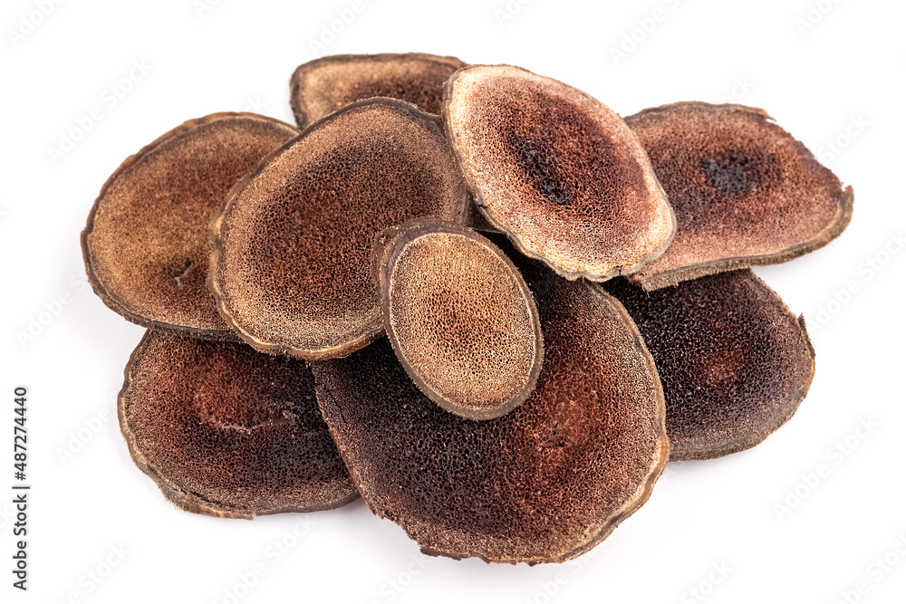 Slices of horns maral on a white background. Maral pant is a source of ...