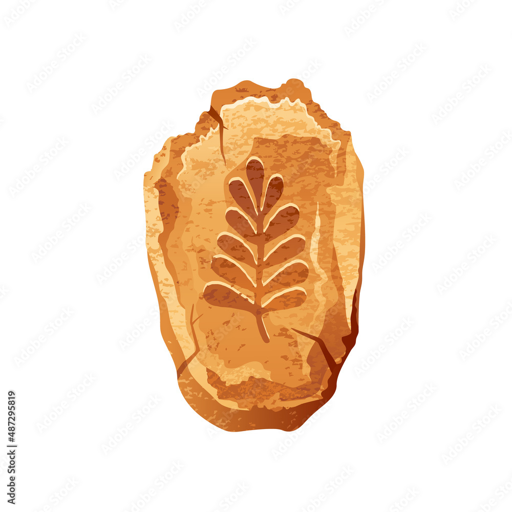 Vetor de Fossil vector. Leaf of ancient plant. Archeologic icon ...