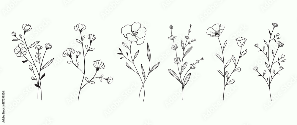 Minimalist flowers and botanic collection. Hand drawn floral branch ...