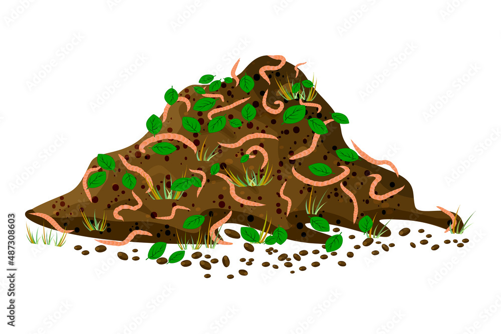 Pile soil with earthworms isolated on white background. Worms and ...