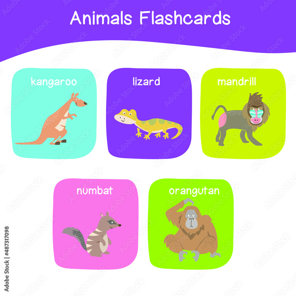 Vetor de Cute animal names flashcards for school. Practicing to ...