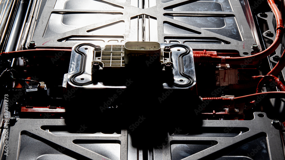 Service plug-fuse of the high-voltage battery of an electric vehicle ...