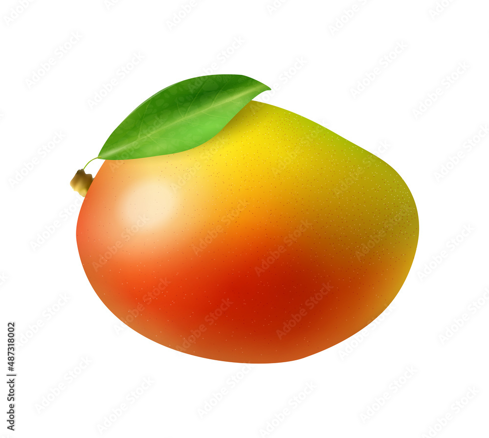 Mango Realistic Illustration Stock Vector | Adobe Stock