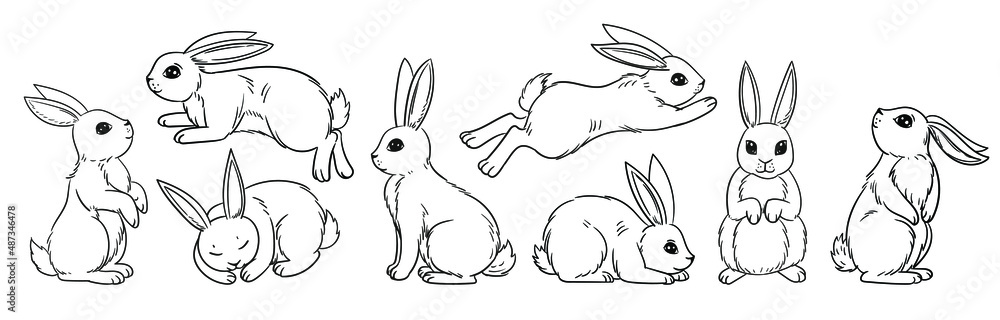 Various cute bunnies, spring, easter bunny in sketch style. Rabbit sits ...