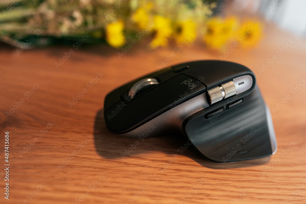 Logitech MX Master Mouse, professional computer mouse for editing ...