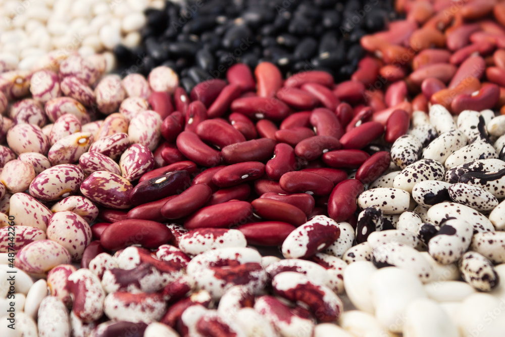 Different types of beans, background. White, red, black and colorful ...