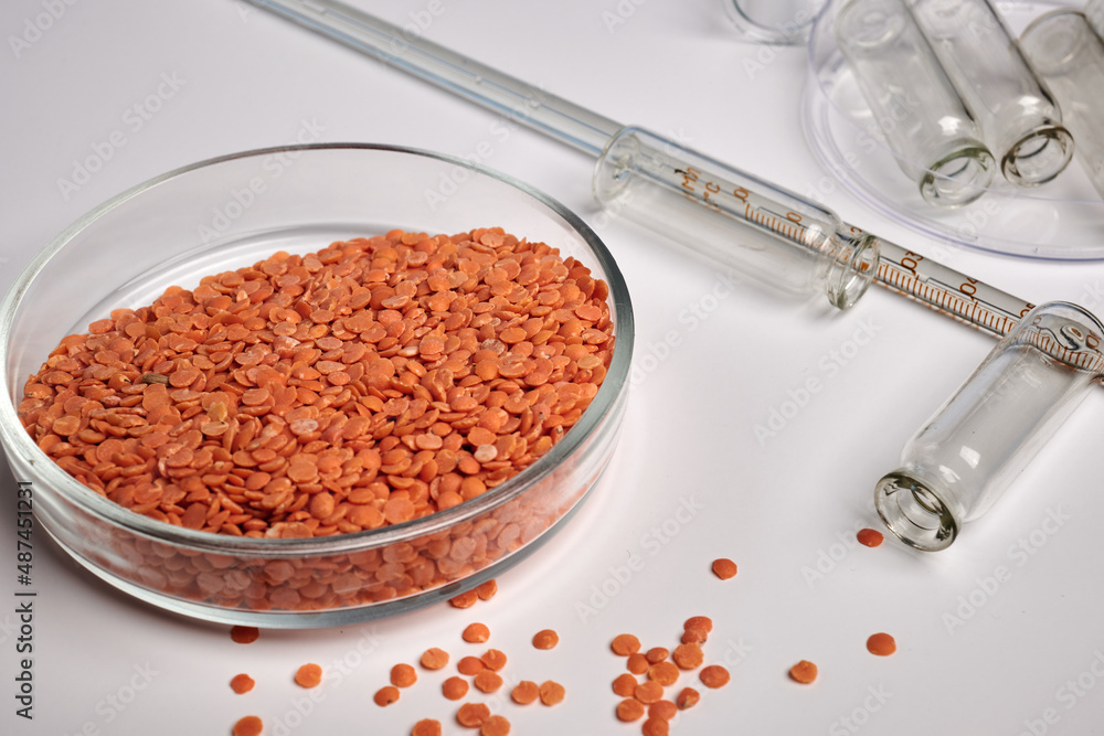 Red lentils in a Petri dish and glass chemical vials - labs photo ...