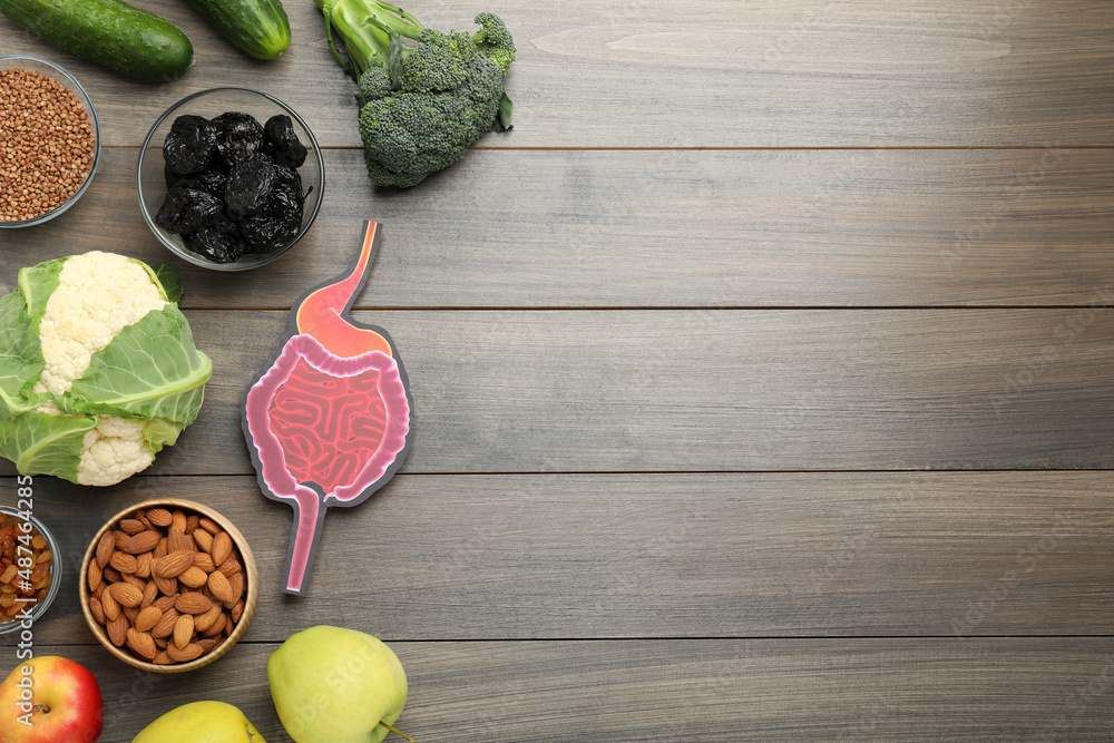 Layout of gastrointestinal tract model and products to help digestion ...