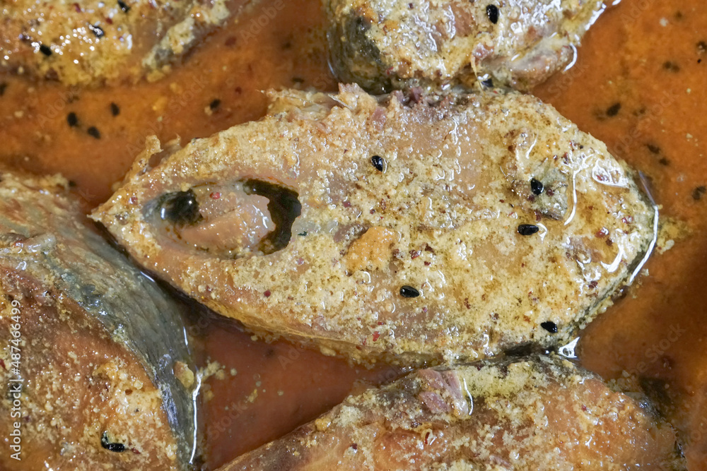 Tenualosa ilisha (ilish, hilsa, hilsa herring or hilsa shad) fish ...