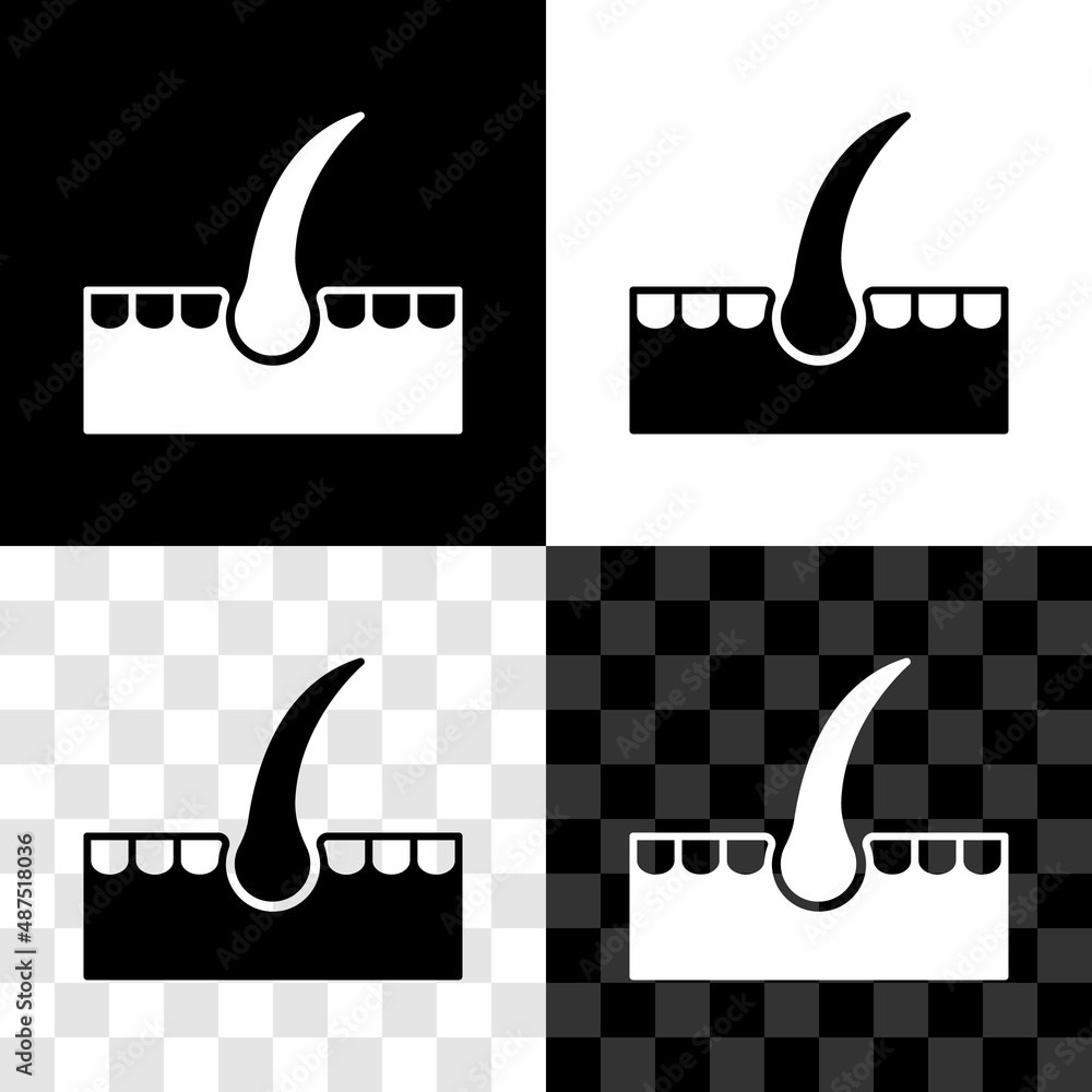 Set Human hair follicle icon isolated on black and white, transparent ...