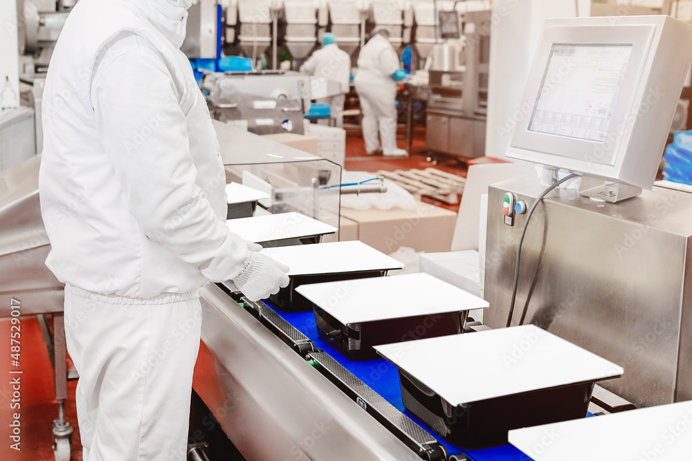 Meat processing in food industry.Chicken fillet production line ...