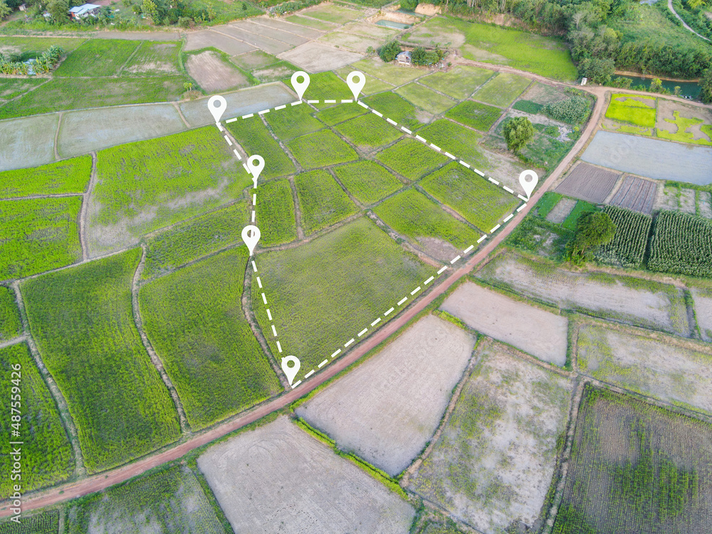 Land plot in aerial view, Top view land green field agriculture plant ...