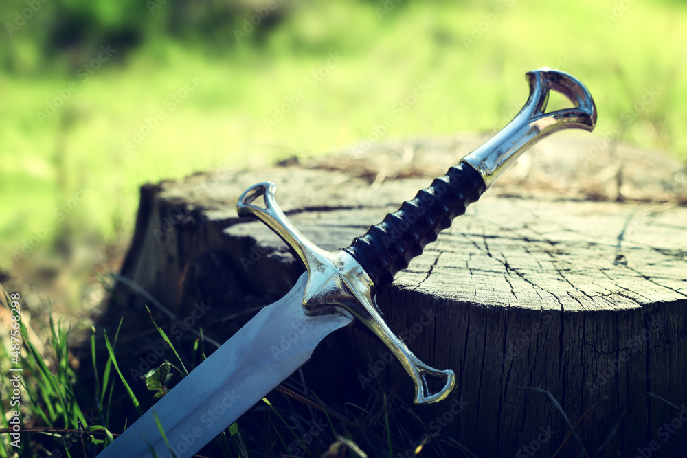mysterious and magical photo of silver sword in the England woods ...