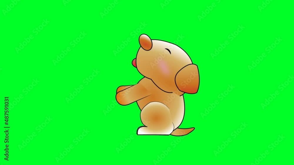 Cartoon Dog Animation with Green Screen Stock Video | Adobe Stock