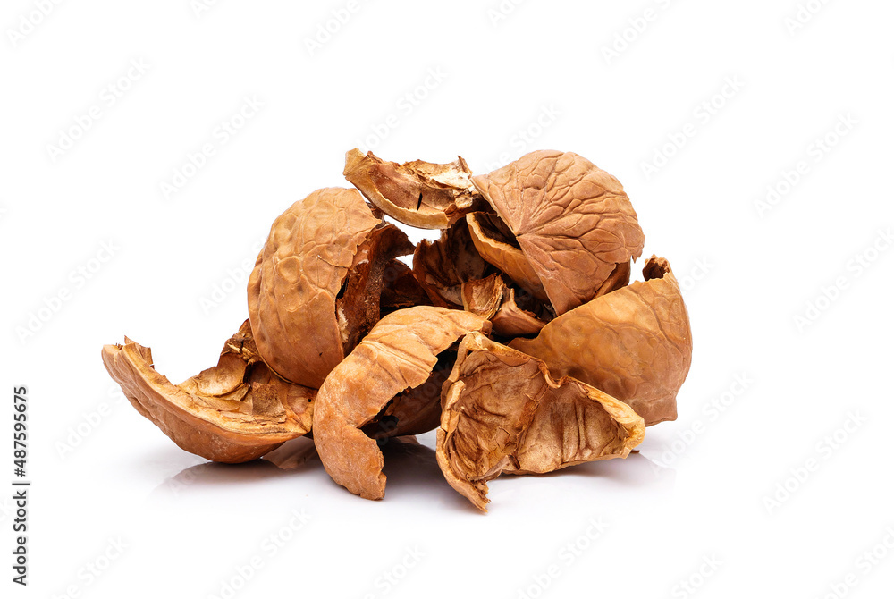 Empty Walnut Shell