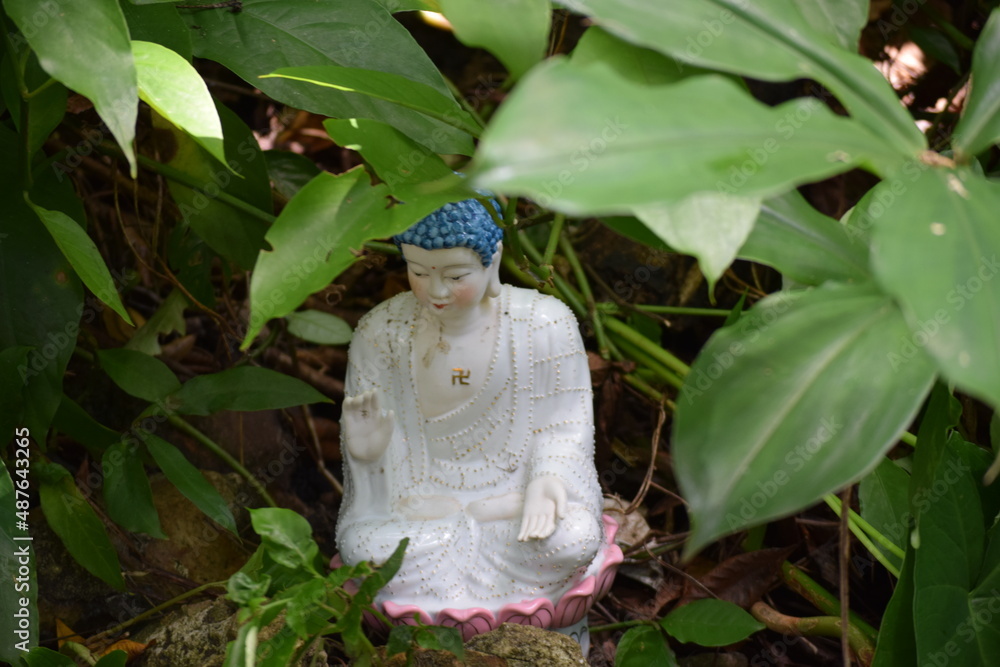 Dickson Azalea Park in Orlando with pictures taken from Nikon D3300 of ...