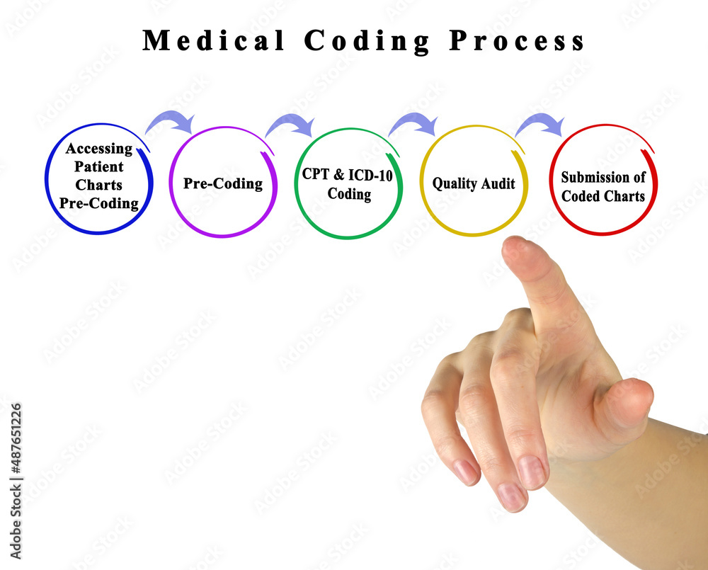 Components of Medical Coding Process Stock Photo | Adobe Stock