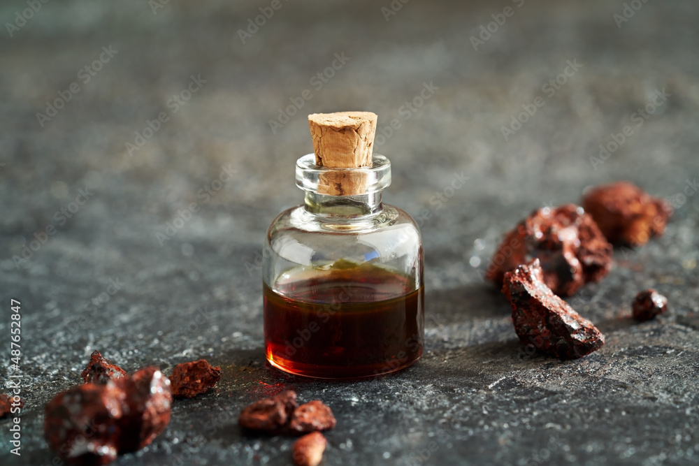 Croton lechleri, or sangre de drago essential oil and resin Stock Photo ...