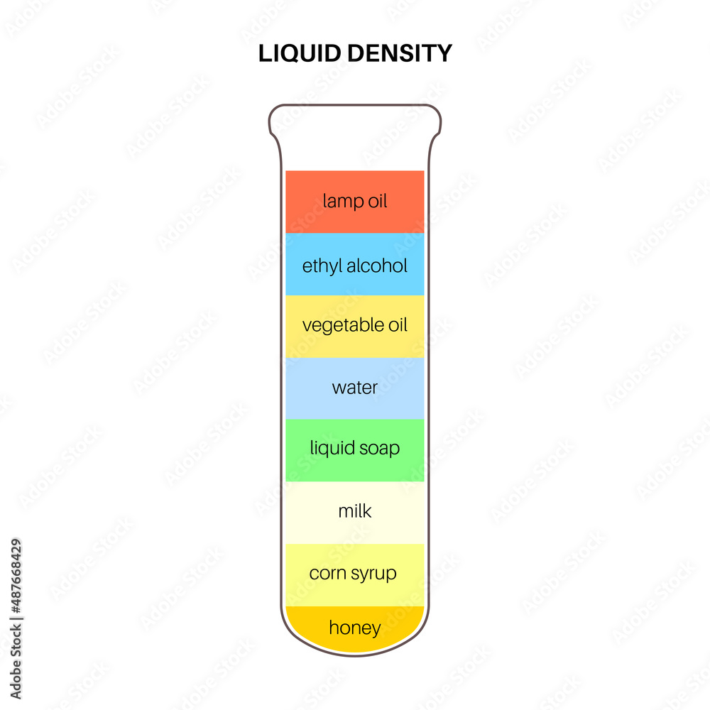 Liquid density experiment Stock Vector | Adobe Stock