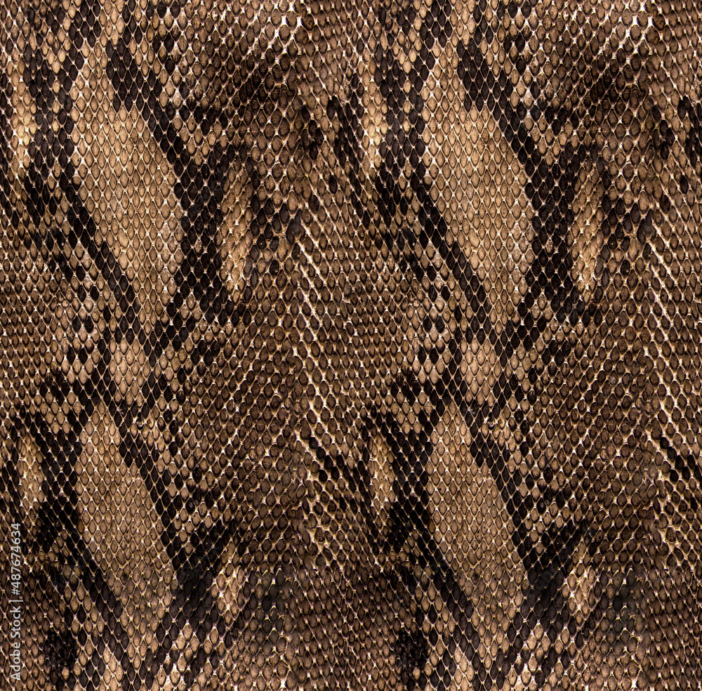 Seamless snake pattern, python texture. Stock Illustration | Adobe Stock