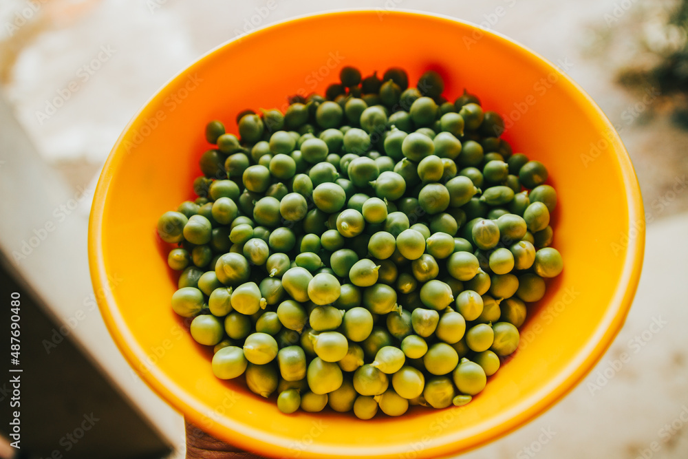 Granos de Arveja pelada en un recipiente amarilli Stock Photo | Adobe Stock