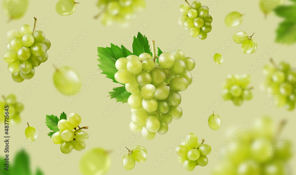 Green background with grapes and leaves. Green grapes in fly on green ...