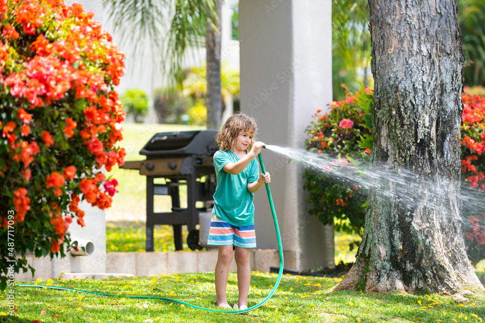 Child is watering the plant outside the house, concept of plant growing ...