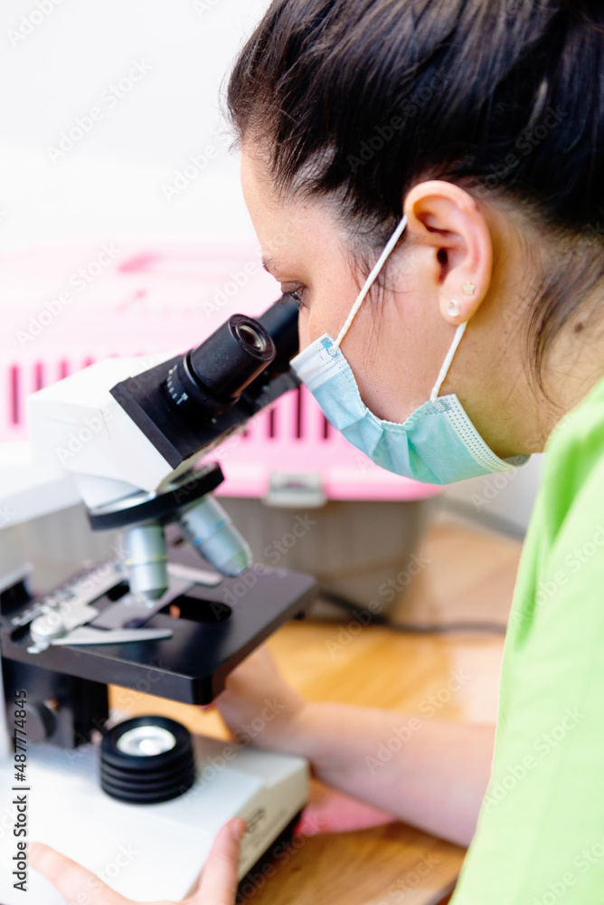 Veterinary doctor using her microscope to perform a cytology ...