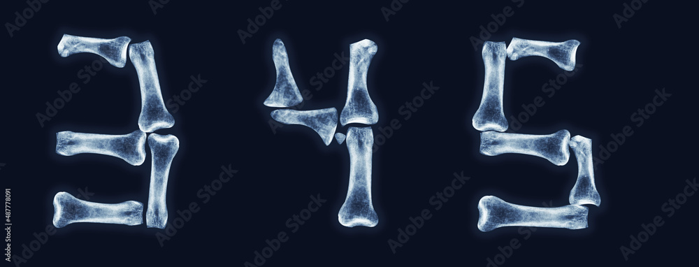 X-ray alphabet. Bone numbers 3, 4, 5. Realistic illustration. Black ...
