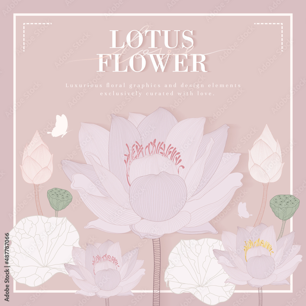 Luxury design template. Lotus line arts hand draw lotus flower and ...