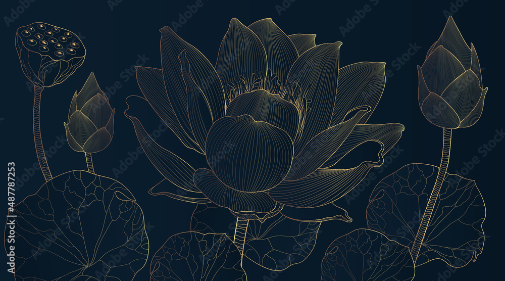 Golden lotus line arts on dark blue background, Luxury gold wallpaper ...