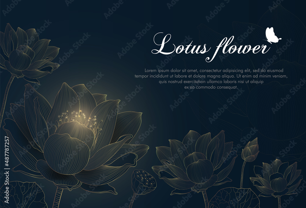 Luxury lotus background design with golden line and dark blue color ...