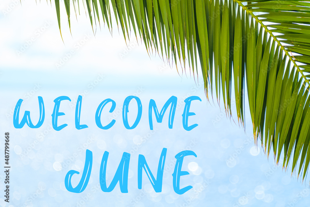 Welcome June text on the background with palm leaf and blue sea ...