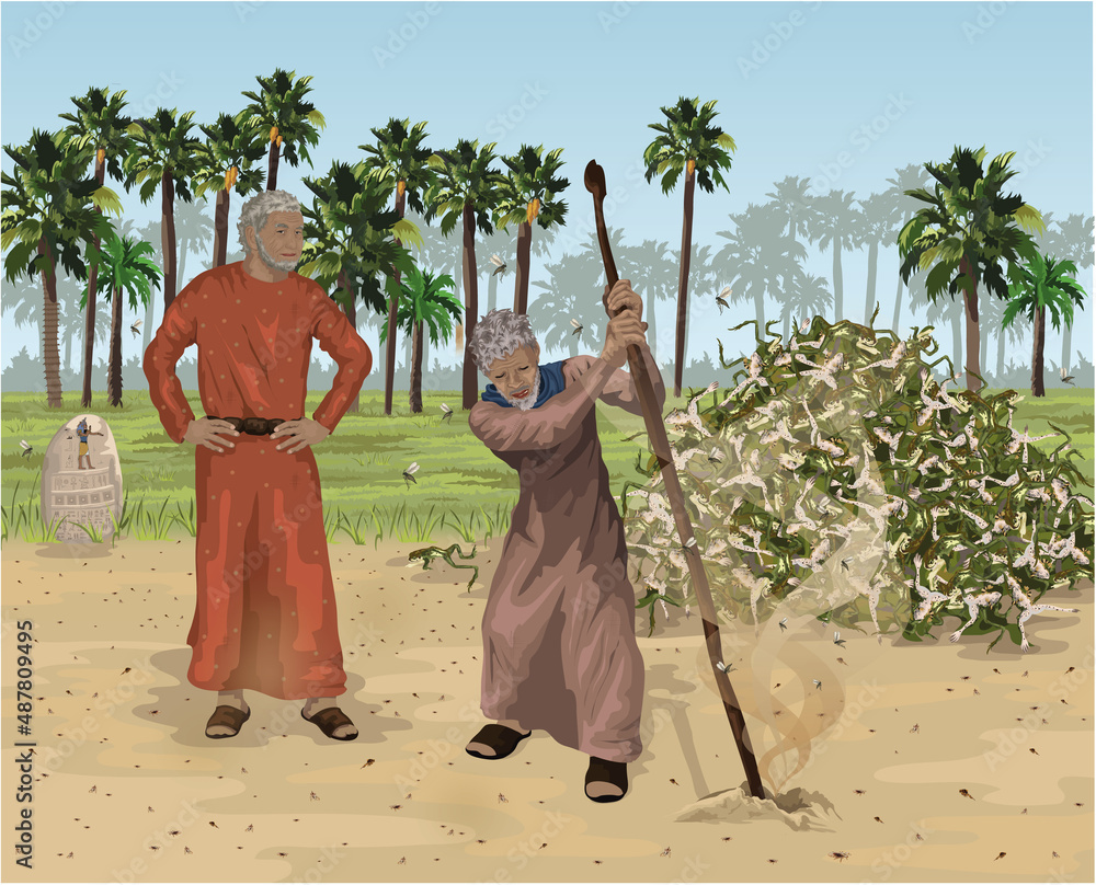 Plague Of Lice Or Gnats