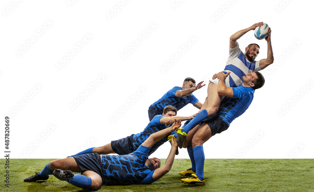 Muscled men, professional rugby players playing rugby football on grass ...