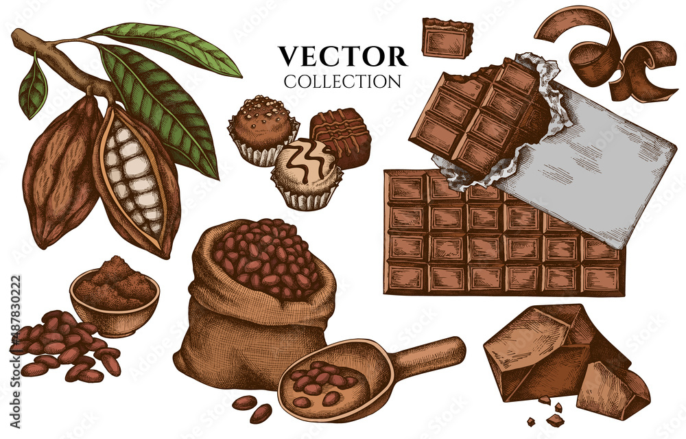 Badge design with colored cocoa beans, cocoa, chocolate, chocolate ...