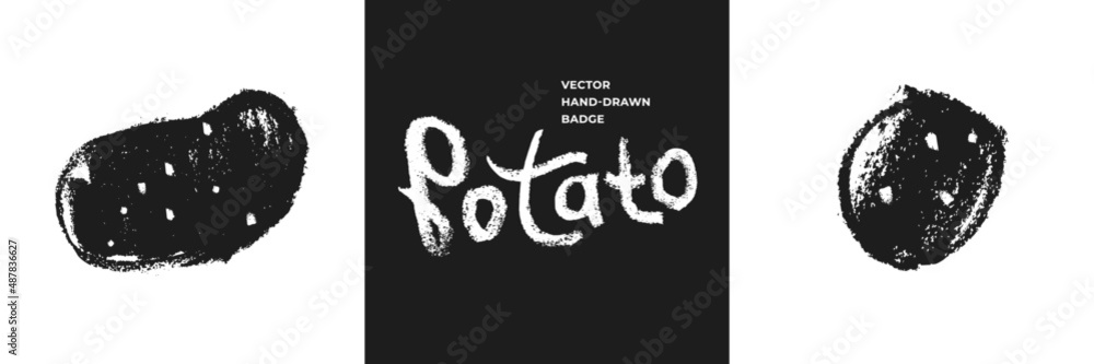 Vector potatoes icon isolated. Hand drawn vegetable potato drawing ...