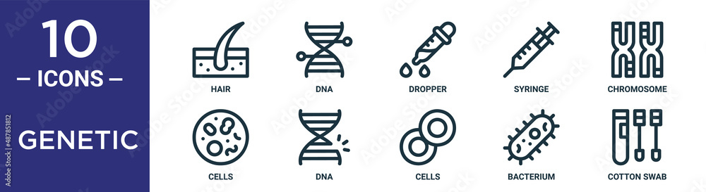 genetic outline icon set includes thin line hair, dropper, chromosome ...