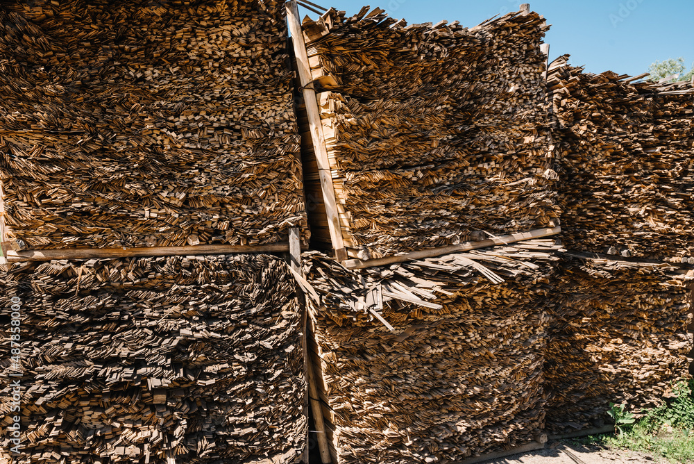 Wood waste recycle. Natural wood scraps, approach to save the ...