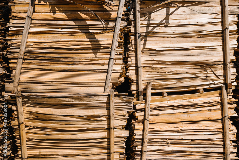 Wood waste recycle. Natural wood scraps, approach to save environment ...