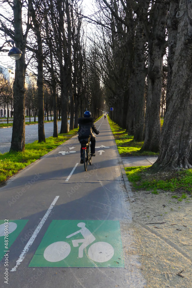 One person riding a bicycle through town in a tree lined driveway ...