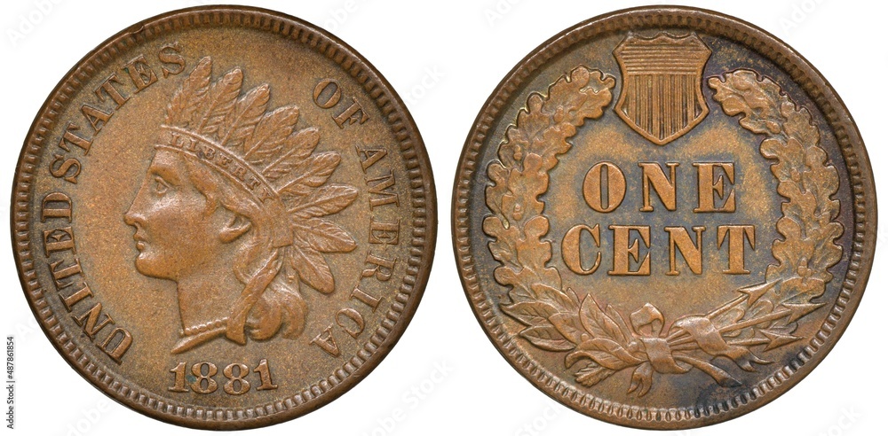 United States bronze coin 1 one cent 1881, Indian head left, value ...