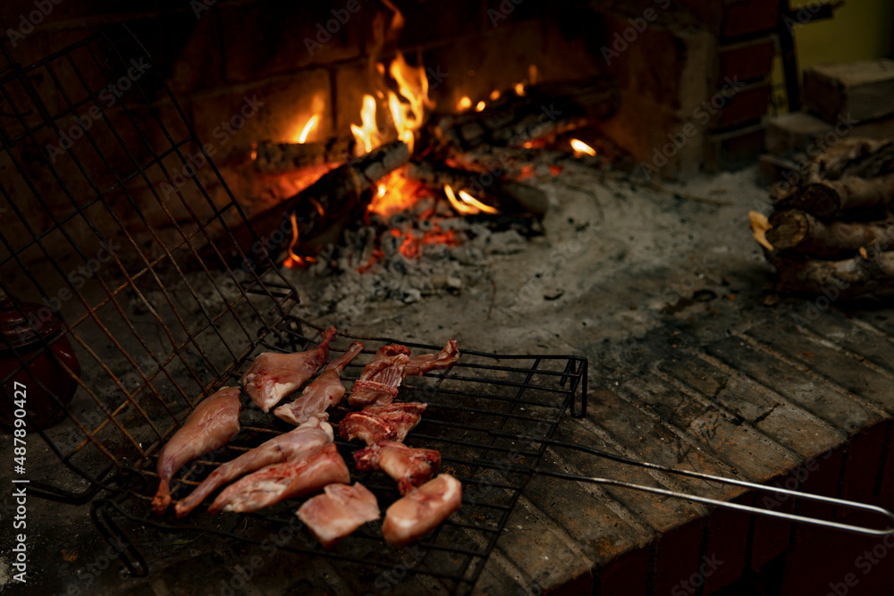 Rabbit pieces next to the fire before being cooked Stock Photo | Adobe ...