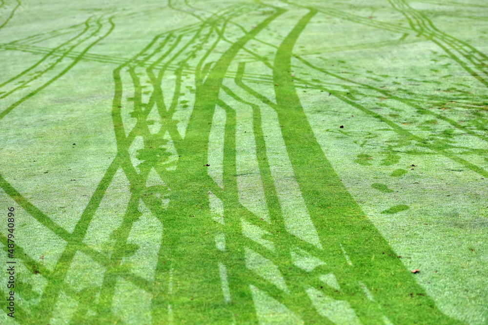 Footprints and tracks of a cart on a golf course in winter with fog and ...