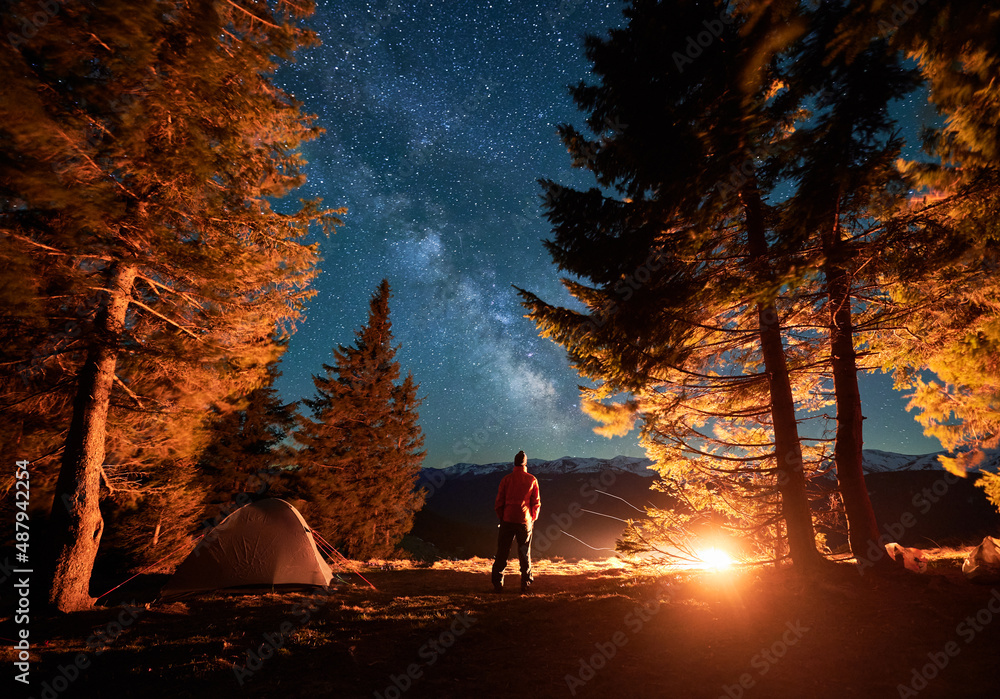 Back view of male camper standing on lawn between trees near tent and ...