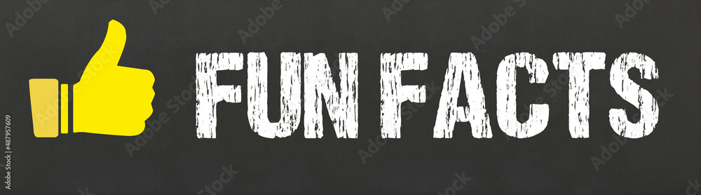 Fun Facts Stock Photo | Adobe Stock