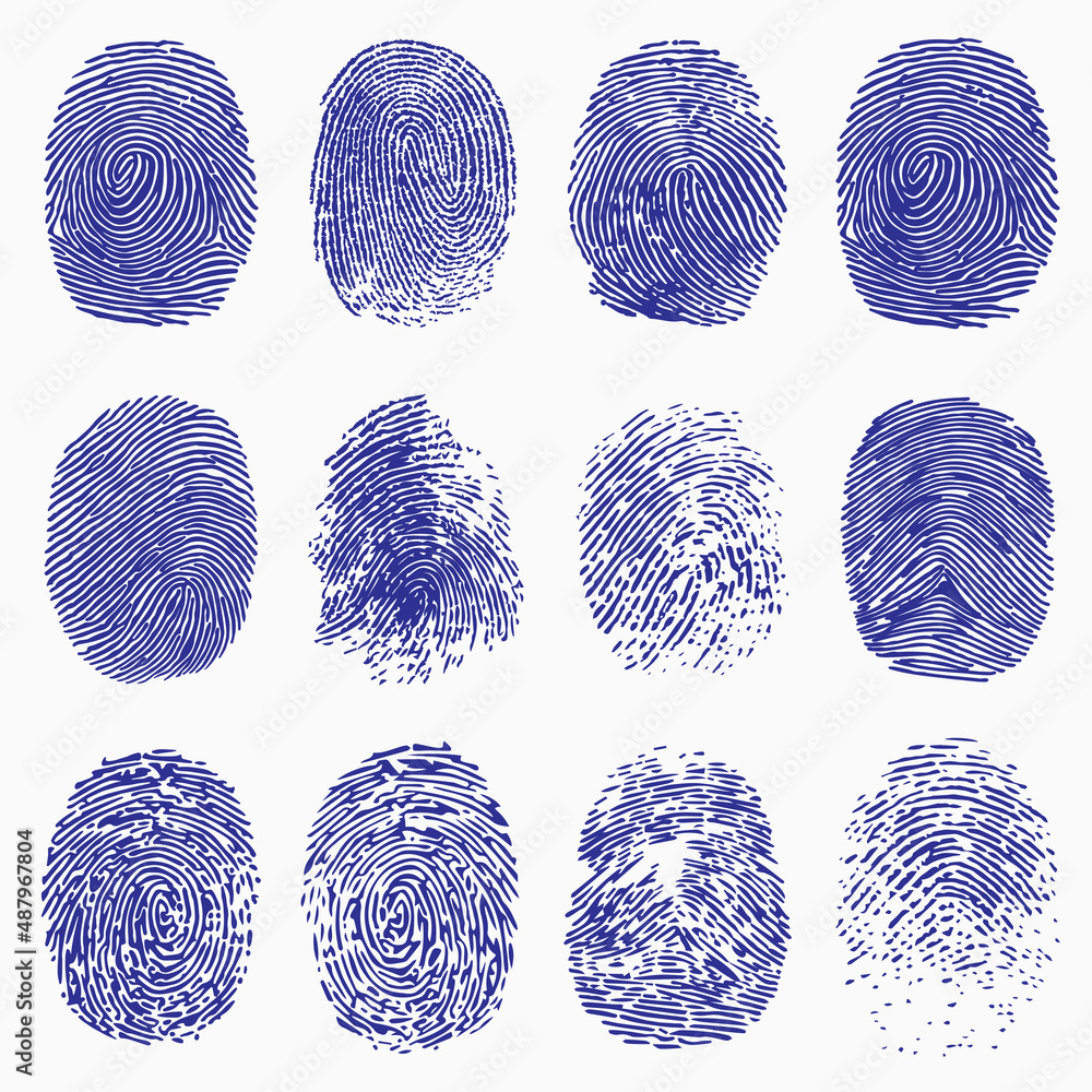 FINGERPRINT VECTOR COLLECTION Stock Vector | Adobe Stock
